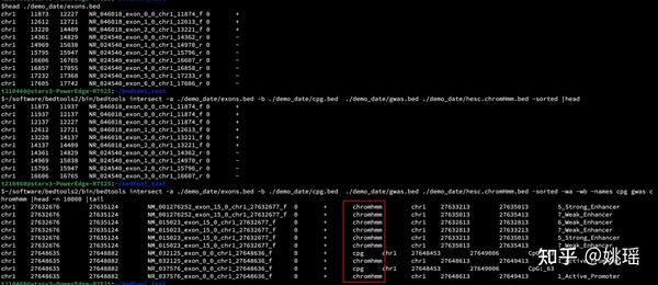 BEDtools——如何利用它进行基因组学数据分析？ - 知乎