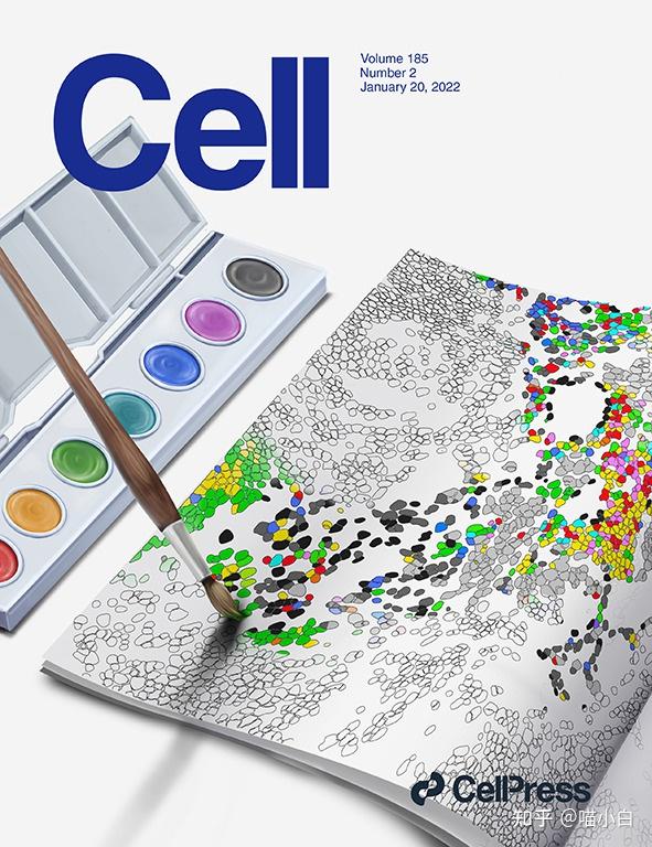 Science&Art Cell2022封面大赏（一），生物学前沿无与伦比的美！ - 知乎