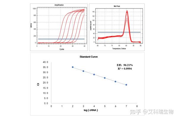 荧光定量PCR的那些曲线，你真的看懂了吗？ - 知乎