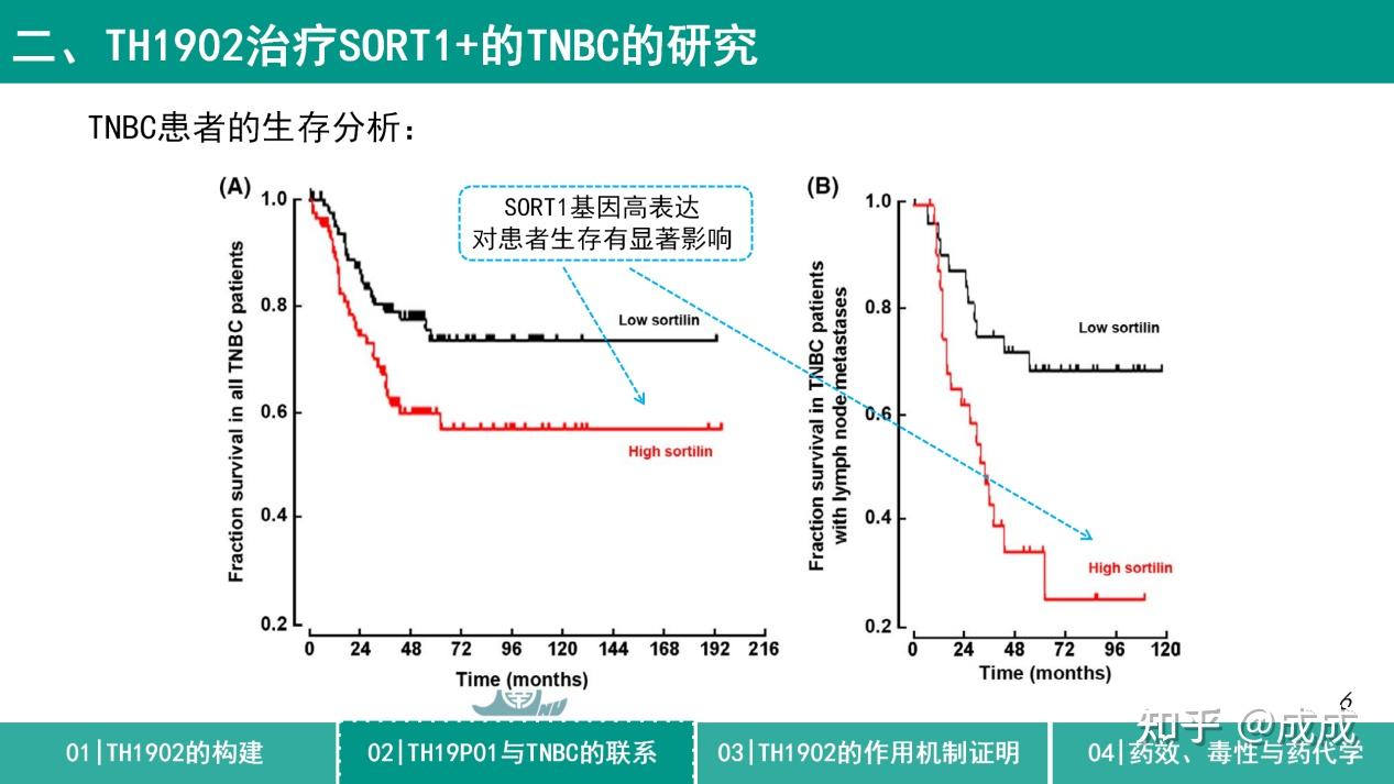 文献解读| TH1902，一种新的多西他赛肽偶联物，用于治疗sortilin阳性的三阴性乳腺癌 - 知乎