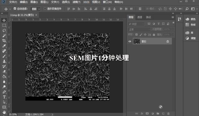 因为SEM图片处理得好，这篇Science被引用3280次！ - 知乎
