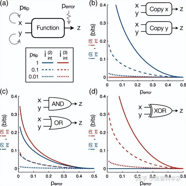 PRL前沿：分解大脑中的局部时间之箭 - 知乎