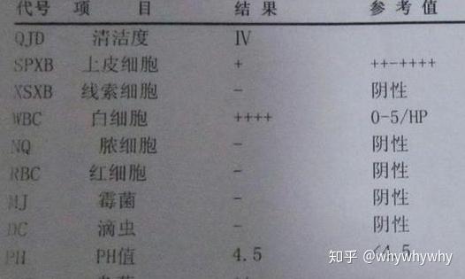 怎样看白带常规化验单 知乎