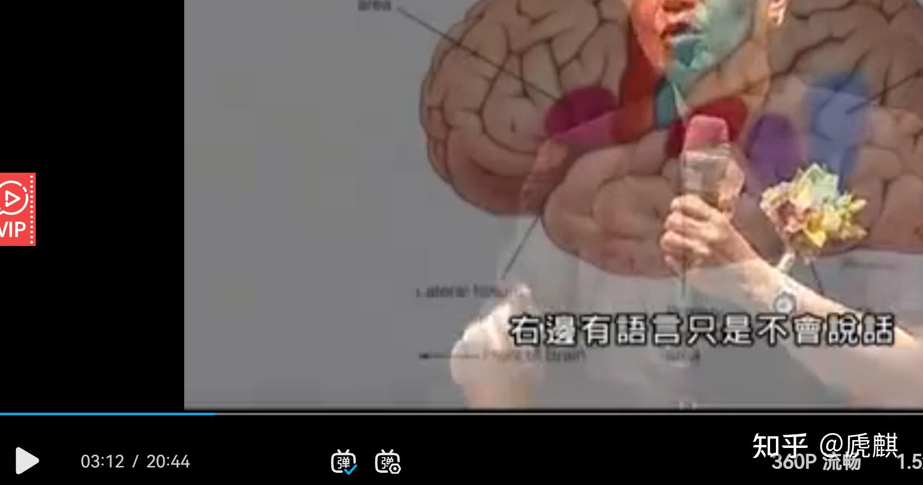 Tulpa-多人格、幻觉召唤类脑技能 - 知乎