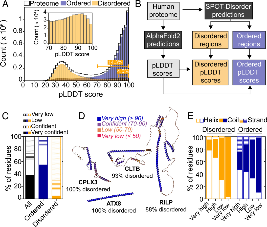 多伦多大学团队使用AlphaFold获得对蛋白质结构的新见解 - 知乎