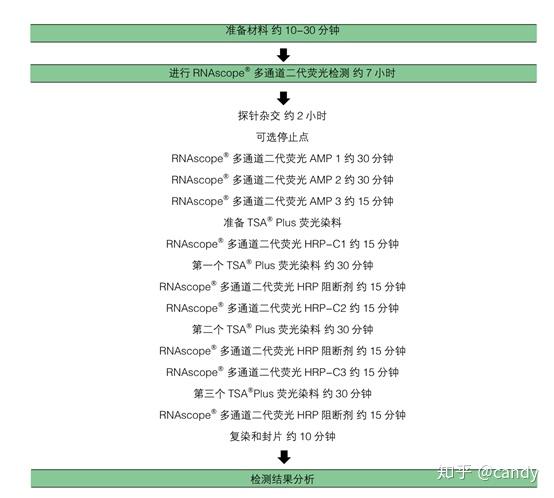 RNA scope实验方法 - 知乎