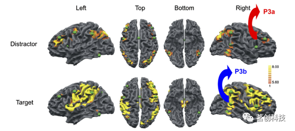 经典再读 | P3a与P3b的整合理论 - 知乎