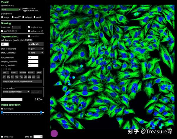 细胞分割神器——Cellpose（安装篇） - 知乎