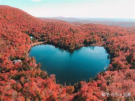 世界上最具浪漫色彩的湖泊- Étang Baker（心形湖） - 知乎