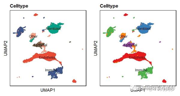 单细胞基因可视化之UMAP图修饰 - 知乎