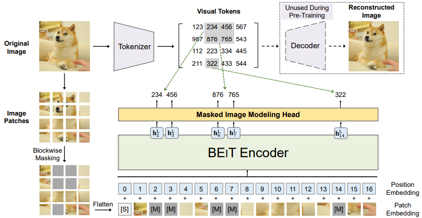 CVPR 2023｜结合特征金字塔结构的自监督学习 iTPNs - 知乎