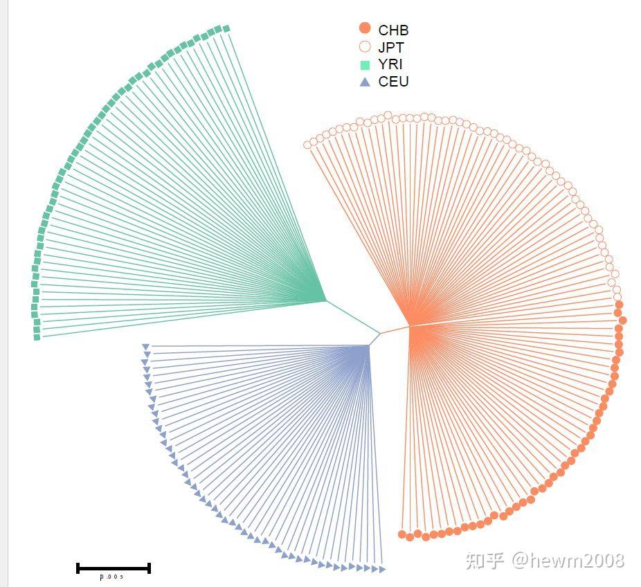 VCF2Dis 升级 1.52 及讨论 （关系树 vs 物种树） - 知乎