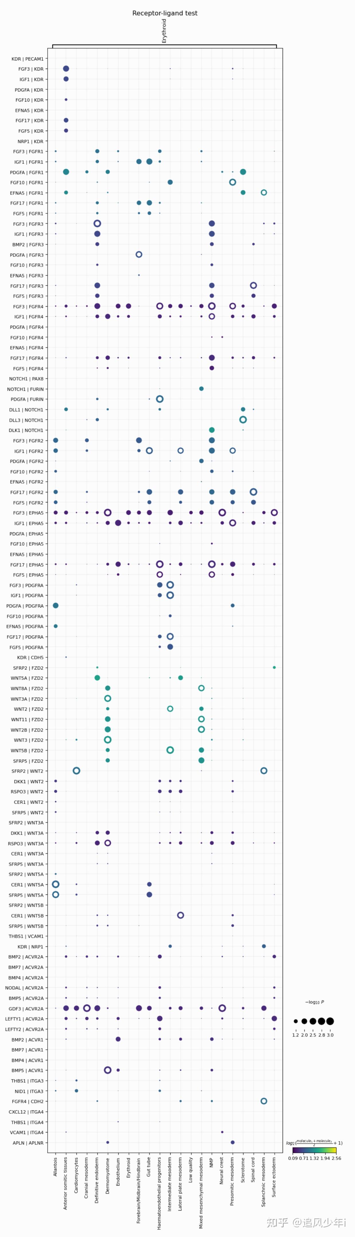 10X单细胞空间联合分析回顾之squidpy - 知乎