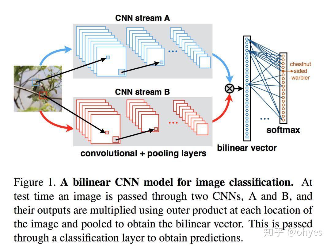 双线性汇合(bilinear pooling)在细粒度图像分析及其他领域的进展综述 - 知乎
