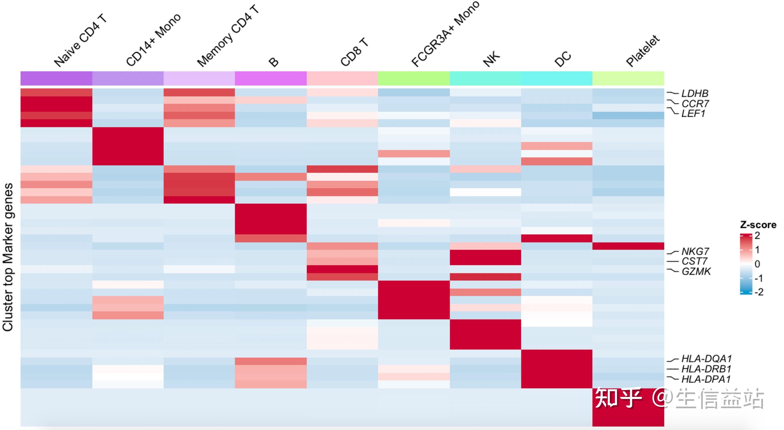 高分文章呼唤高颜值的scRNA-seq可视化方式 - 知乎