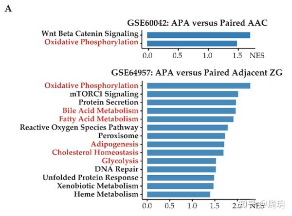 IF6+生信文章——肿瘤代谢重编程+肿瘤免疫 - 知乎