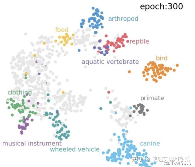 自监督学习经典之作:DINO - 知乎