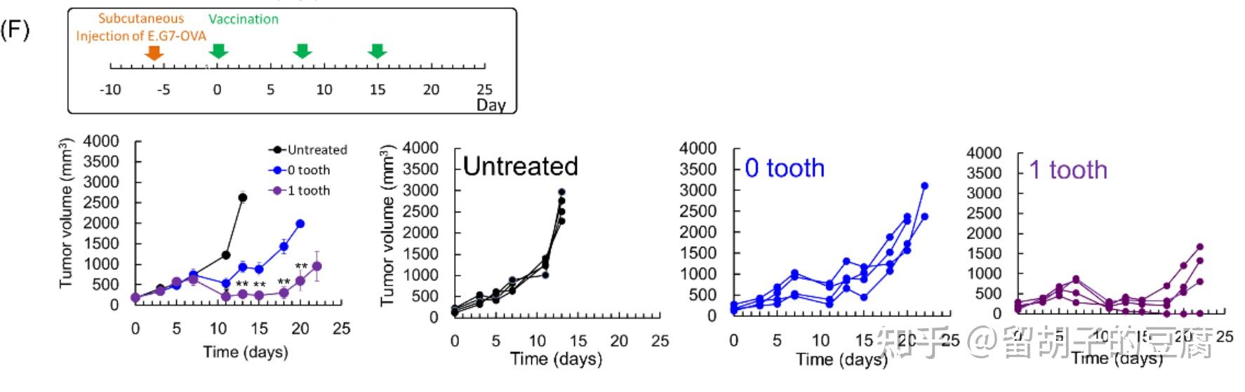 mRNA疫苗抗原序列嵌合dsRNA佐剂，增强癌症治疗过程中的细胞免疫。 - 知乎