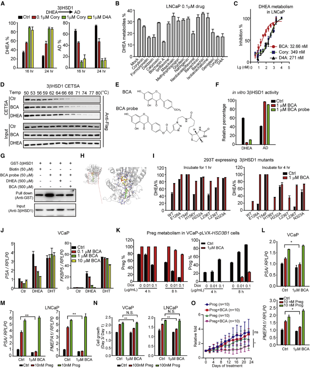 Cell Rep Med | 抑制3βHSD1以消除孕酮在前列腺癌中的致癌作用 - 知乎