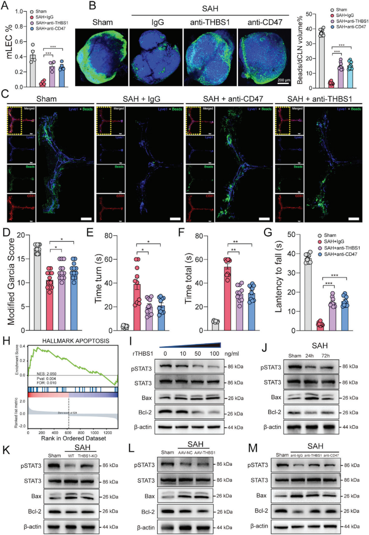 项目文章 | 单细胞和空间转录组联合揭示蛛网膜下腔出血后脑膜淋巴功能障碍的发病机制 - 知乎