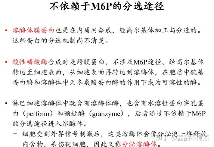 细胞质基质与内膜系统 - 知乎