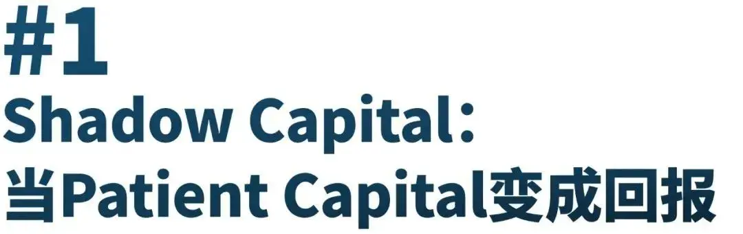 Shadow Capital：一个重要的新概念｜溯元育新 - 知乎