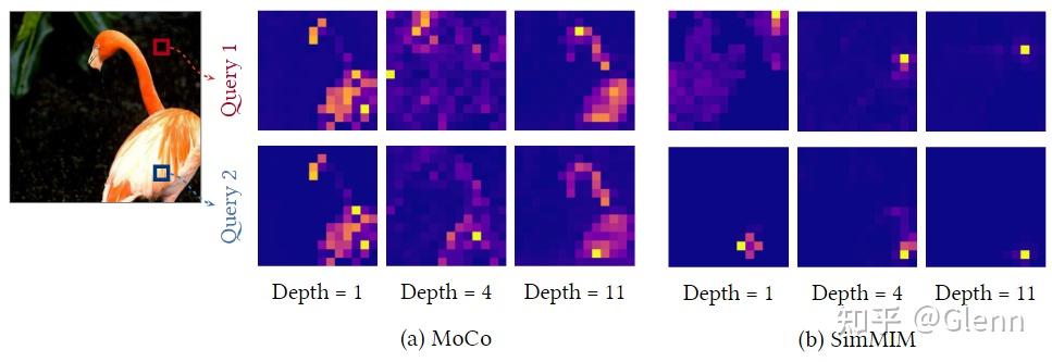 [论文阅读] MIM | Hybrid Distillation：使用知识蒸馏将对比学习与 MIM 结合起来 - 知乎