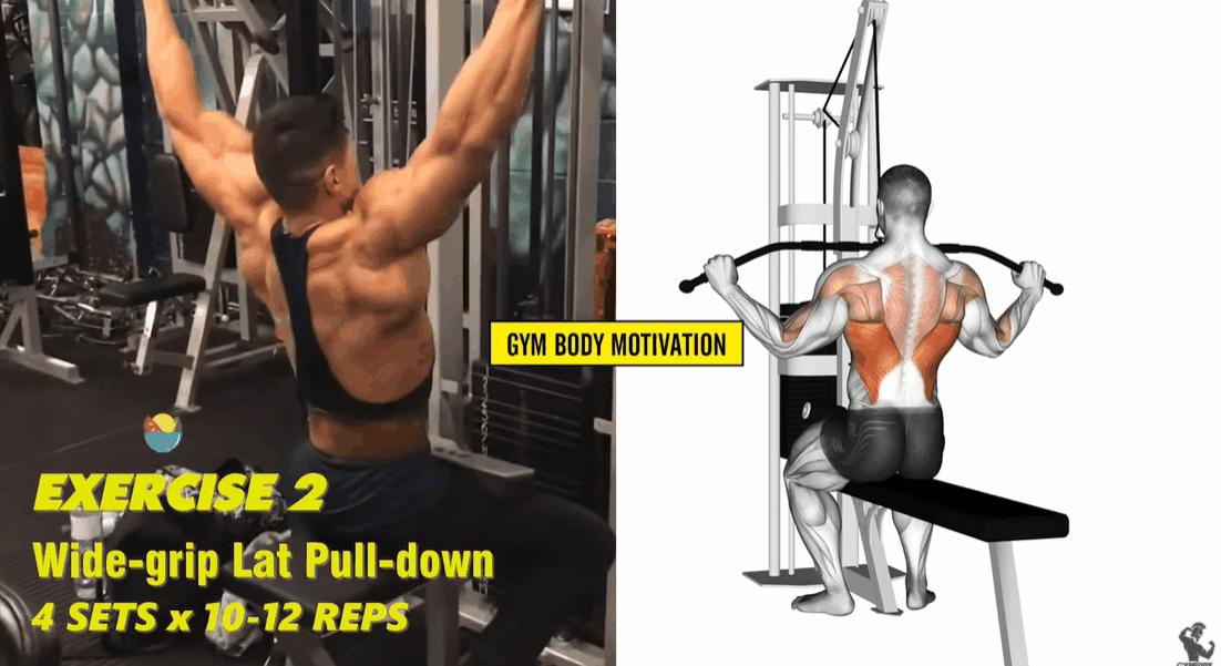 健身训练动作：背部篇 - 知乎