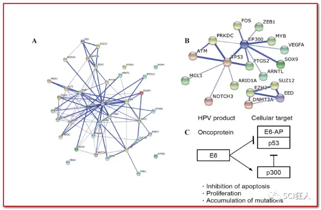 TCGA miRNA数据挖掘文献分享 - 知乎
