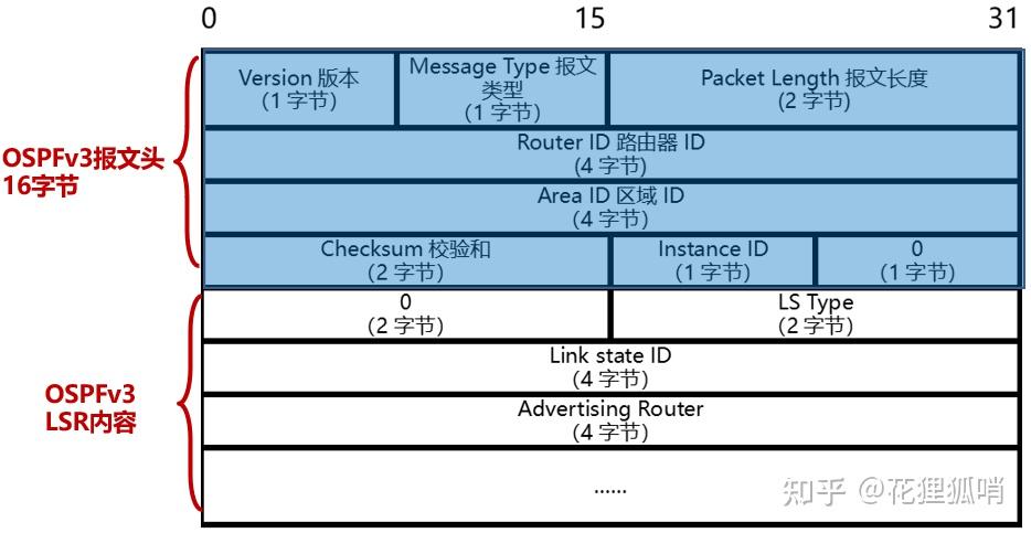 OSPFv3报文格式 - 知乎