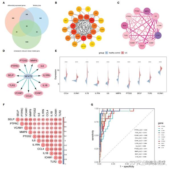 7+非肿瘤纯生信，内质网应激+WGCNA+药物预测+分型筛选关键基因，投稿到接收仅2个多月！ - 知乎