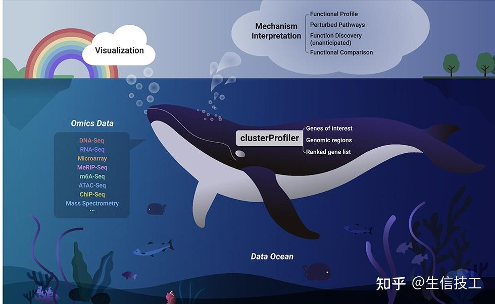 富集分析：（三）clusterProfiler概述 - 知乎