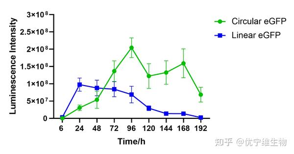助力核酸药物开发“黑马”—环状RNA - 知乎