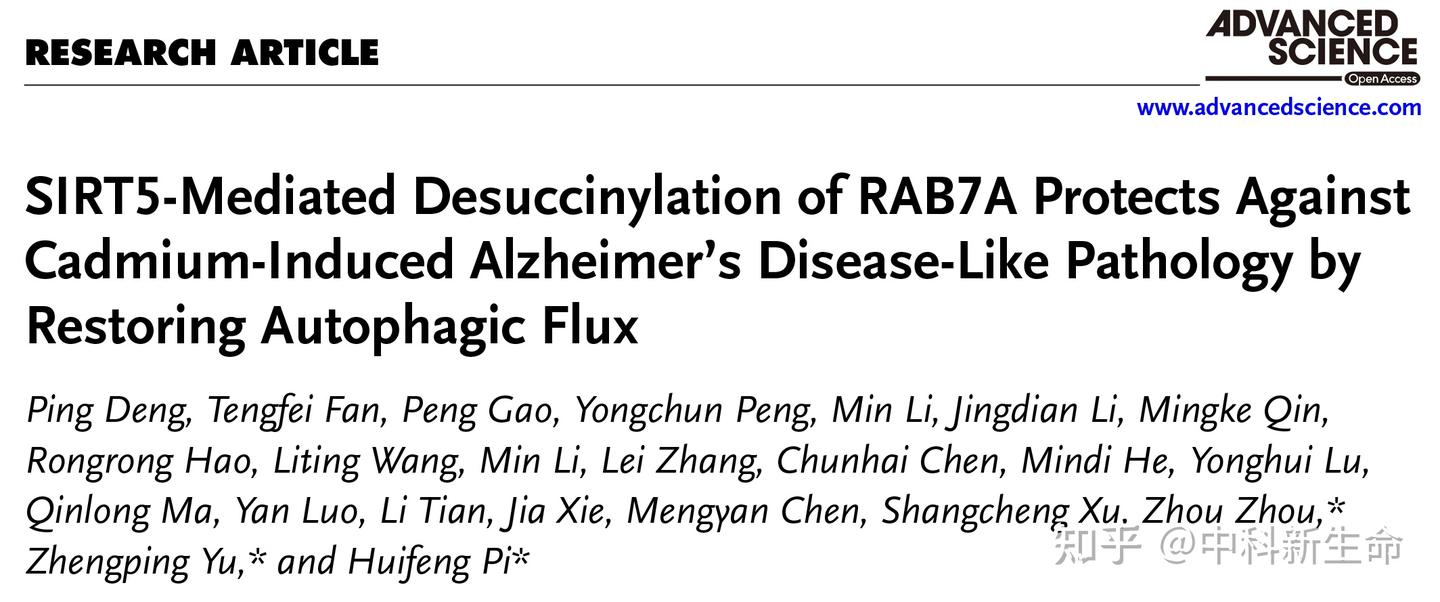 项目文章Adv Sci（IF14.3）| 环境污染新警钟：镉暴露与阿尔兹海默症有联系？SIRT5介导的RAB7A成关键 - 知乎