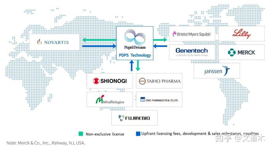 PeptiDream-mRNA展示（2） - 知乎
