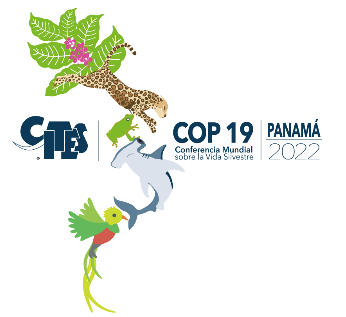 CITES CoP19 第一周结束| 绿会巴拿马代表团讯 - 知乎