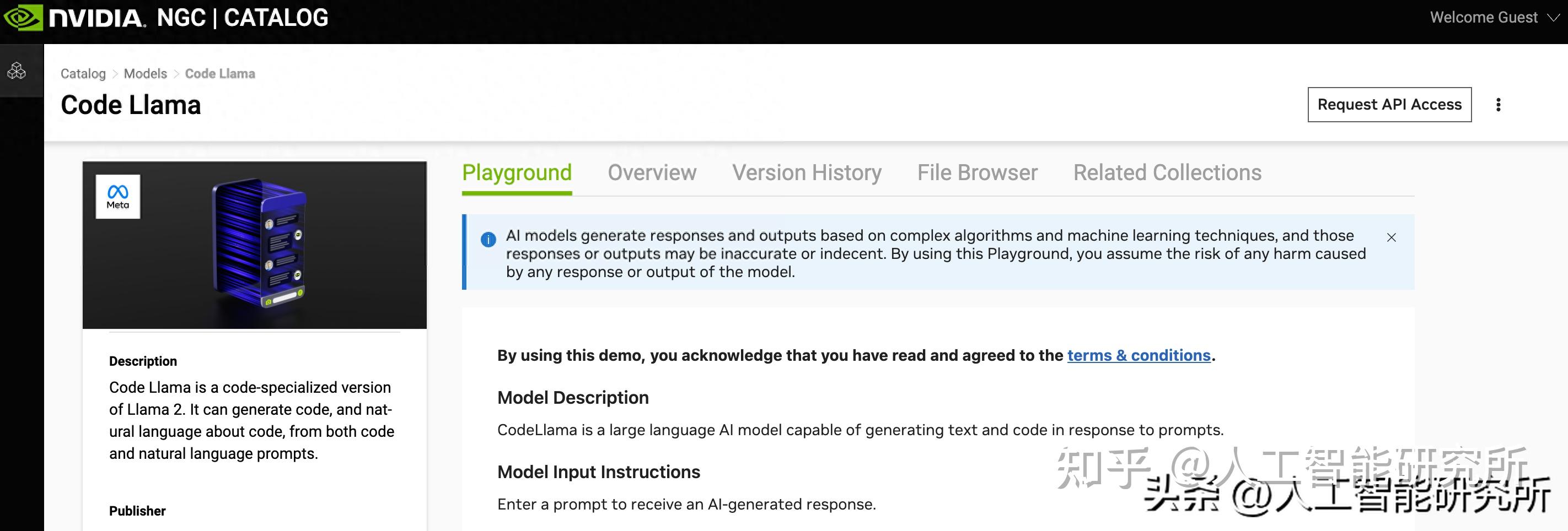 NVIDIA基于Code Llama发布在线版本Llama，人人可以免费使用 - 知乎
