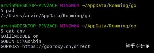Vscode配置安装Golang开发环境 - 知乎