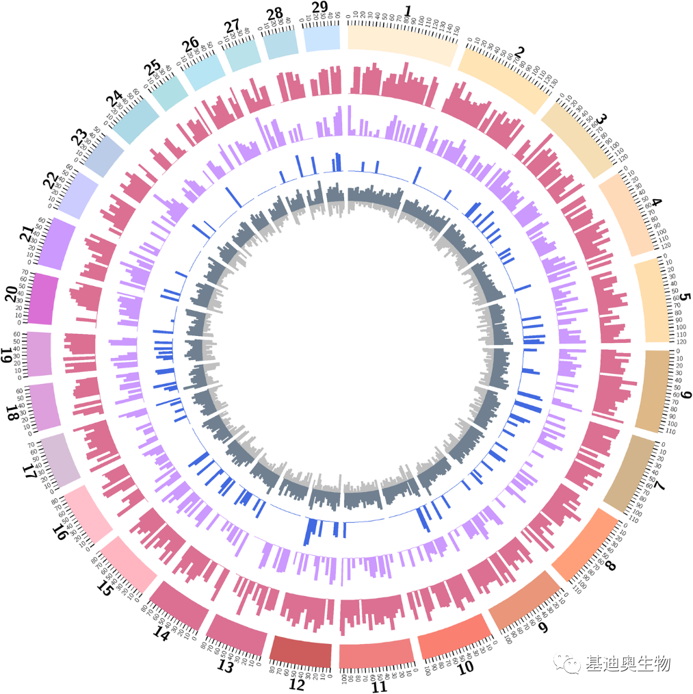 【变异检测】CNV分析和应用 - 望着小月亮 - 博客园