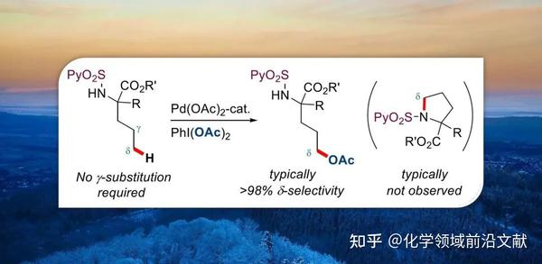 钯催化PIDA介导的氨基酸衍生物的δ-C(sp3)-H乙酰氧基化反应 - 知乎