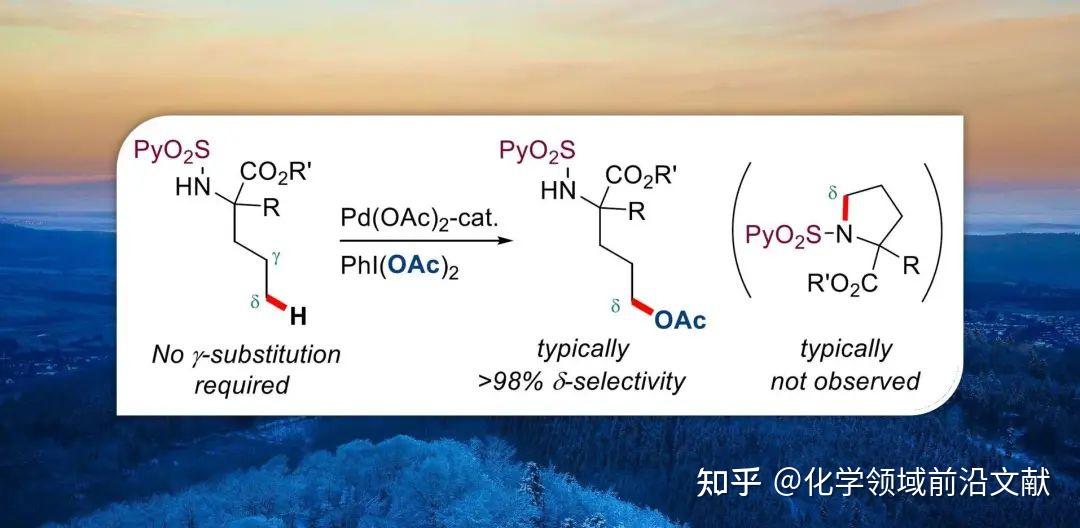 钯催化PIDA介导的氨基酸衍生物的δ-C(sp3)-H乙酰氧基化反应 - 知乎
