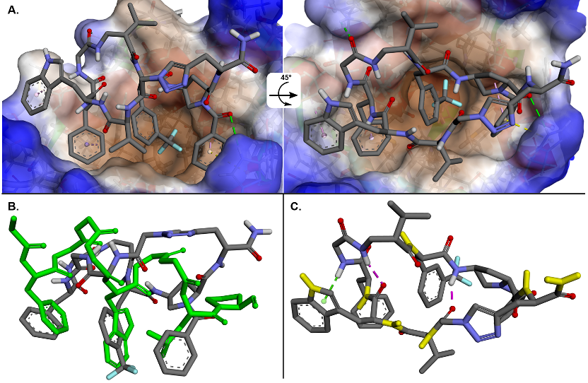最新进展 | 环肽DEL筛选为MDM2抑制剂发现提供新动力 - 知乎