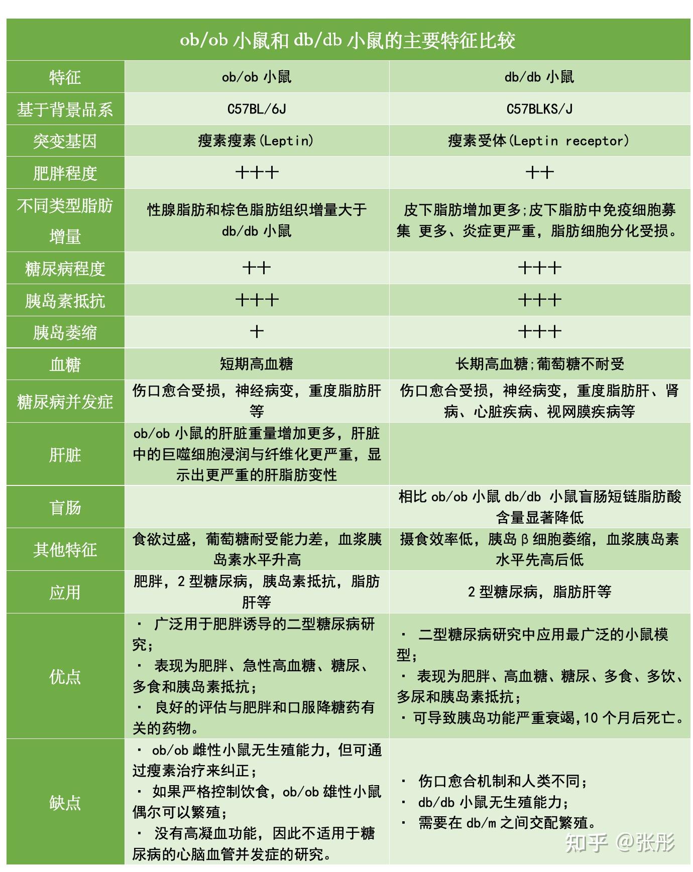 𝗱𝗯/𝗱𝗯和𝗼𝗯/𝗼𝗯两种糖尿病模型小鼠区别及如何选择 - 知乎