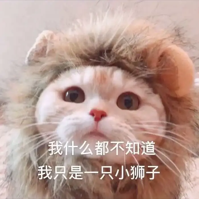 110张可爱的猫猫表情包 - 知乎
