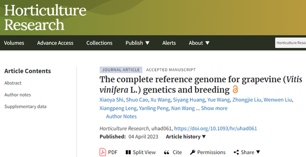 成功案例 | 葡萄T2T基因组为其遗传育种与进化研究提供了新见解 - 知乎
