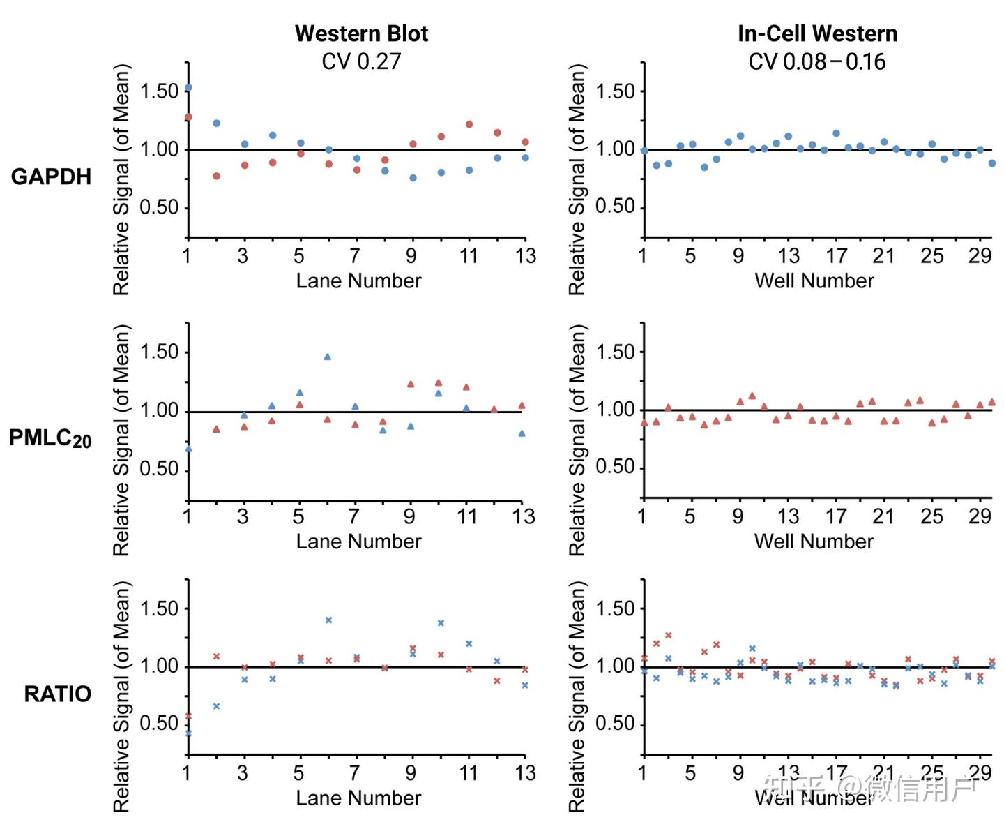 In-Cell ELISA/ Western blot 怎么做 ICE/ICB？ - 知乎