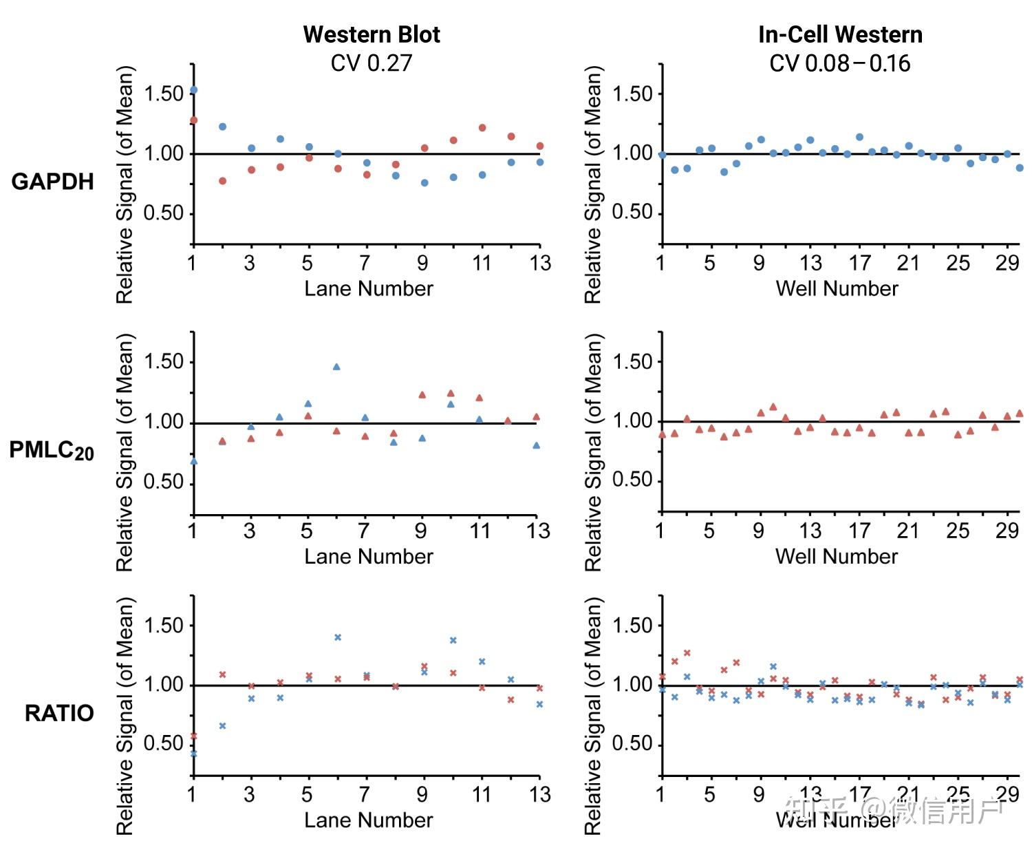 In-Cell ELISA/ Western blot 怎么做 ICE/ICB？ - 知乎