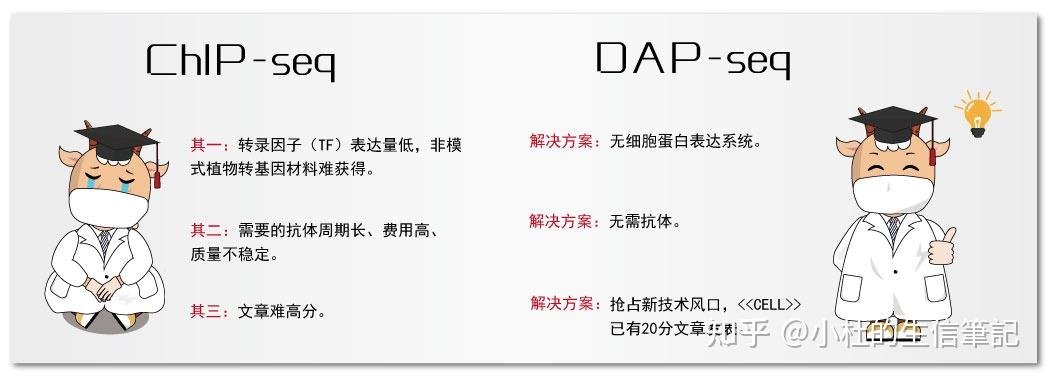 DAP-seq测序（DNA亲和纯化测序）！ - 知乎