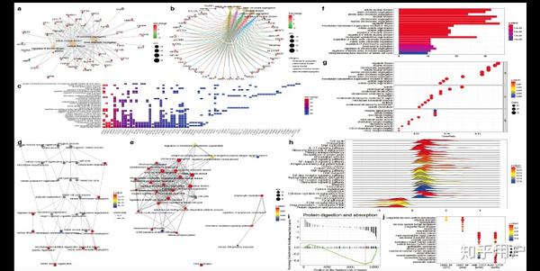 R语言学习入门 - 知乎