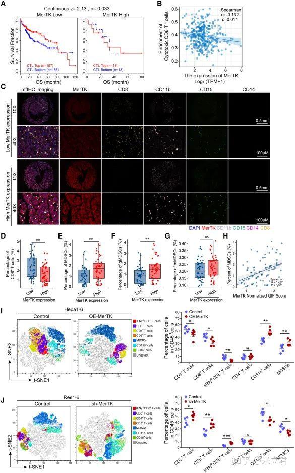 Cell Reports Medicine｜MER原癌基因酪氨酸激酶（MerTK）通过增强铁死亡和免疫反应来治疗肝细胞癌 - 知乎